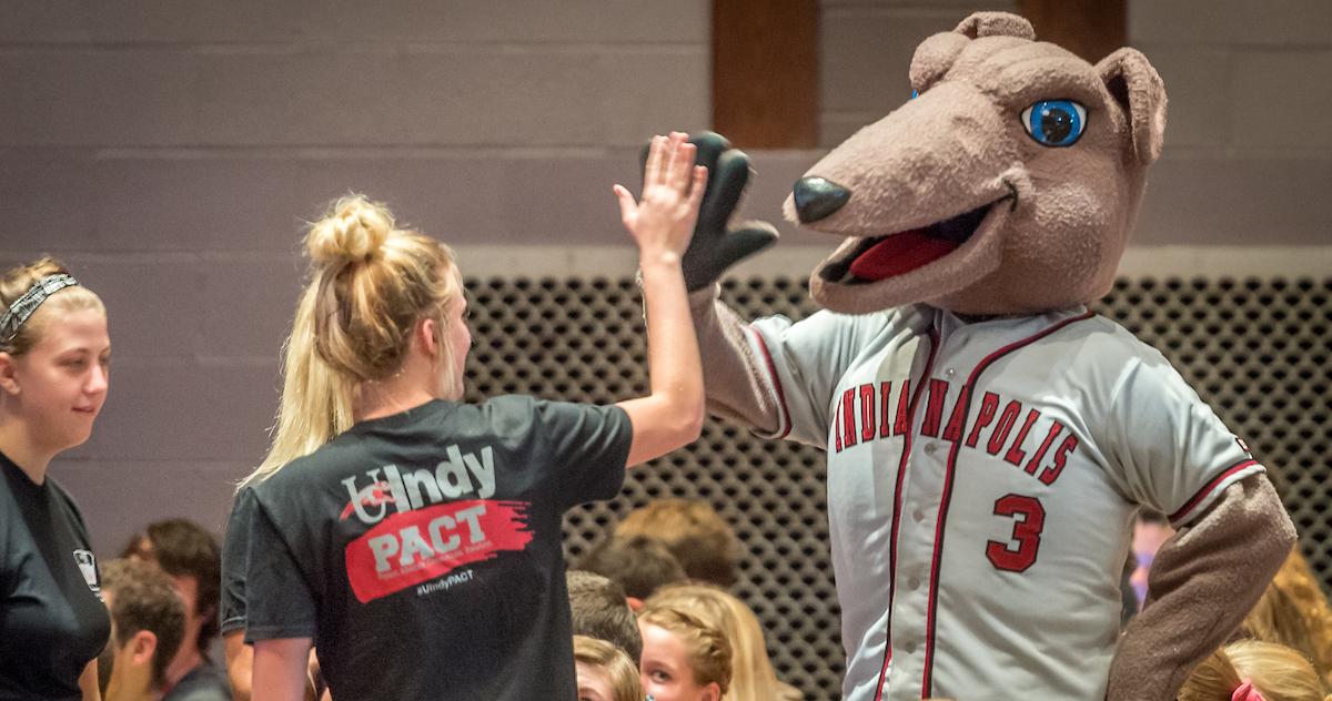Help Ace break the high-five GUINNESS WORLD RECORD™!