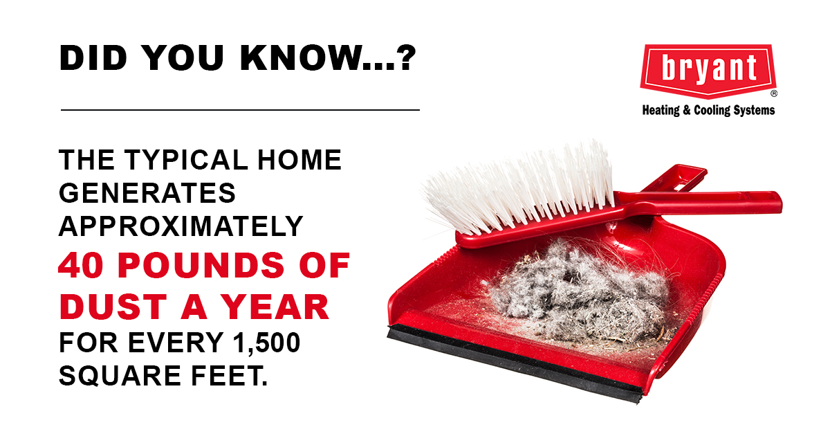 Bust the Dust this Spring